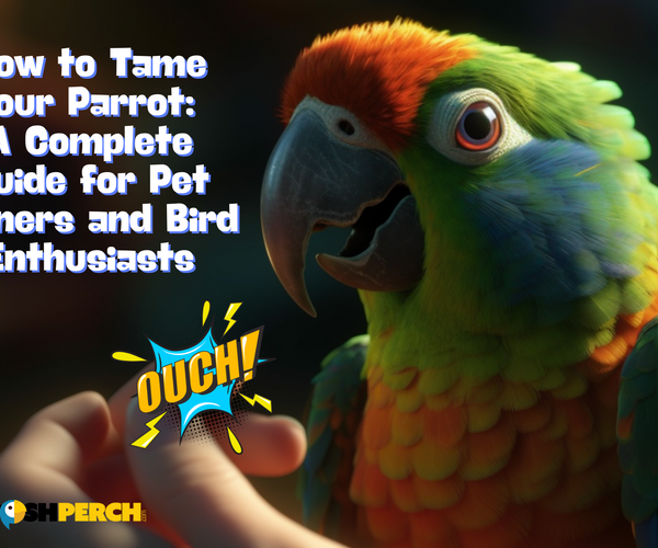 How to Tame Your Parrot: A Complete Guide for Pet Owners and Bird Enth ...