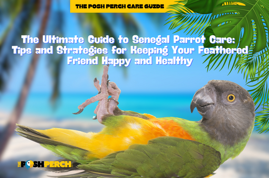 Gifts for Parrot Keepers | Personalized Parrot Products – The Posh Perch