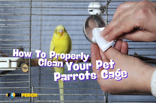 Gifts for Parrot Keepers | Personalized Parrot Products – The Posh Perch