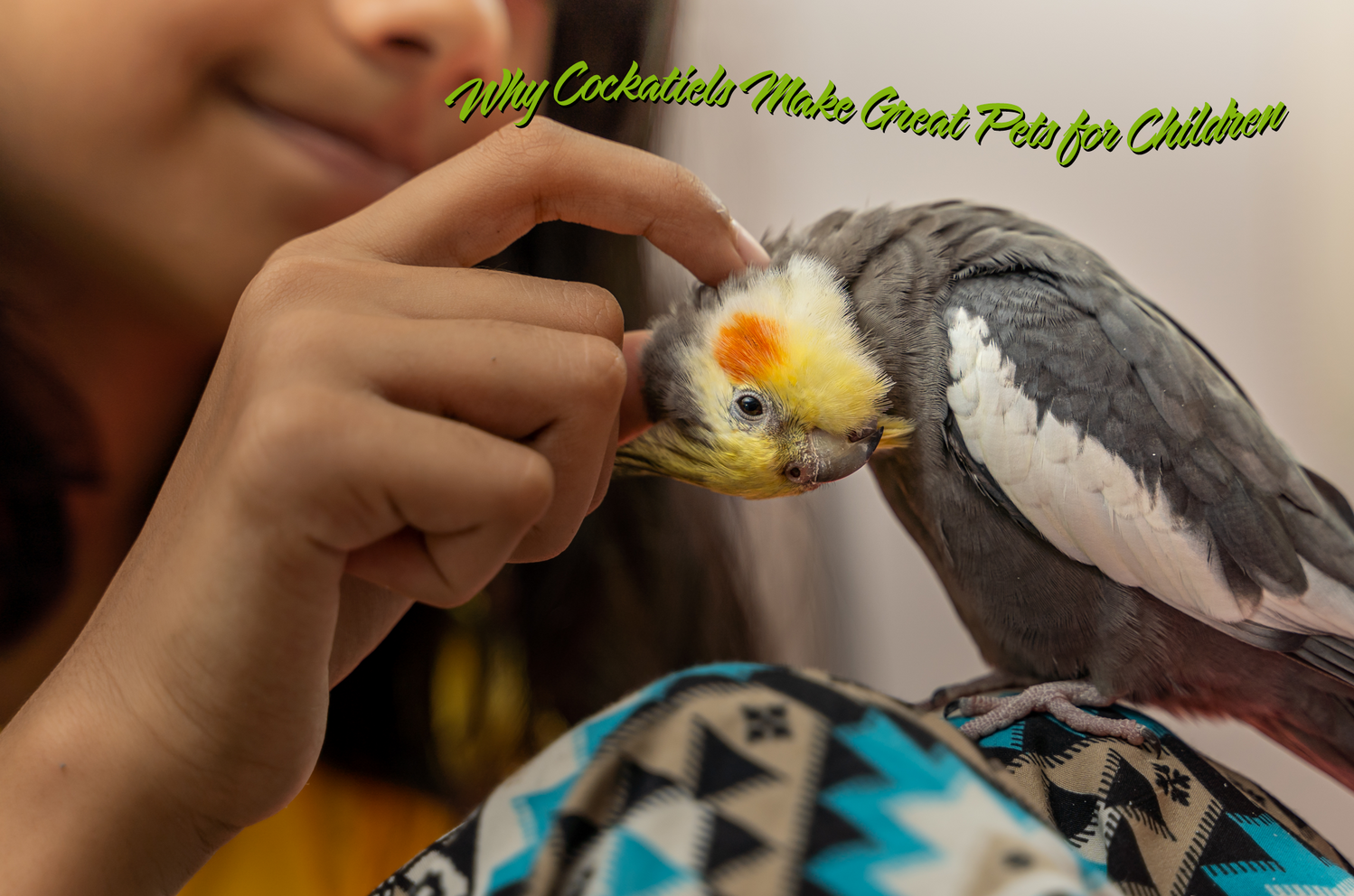 Why Cockatiels Make Great Pets for Children – The Posh Perch