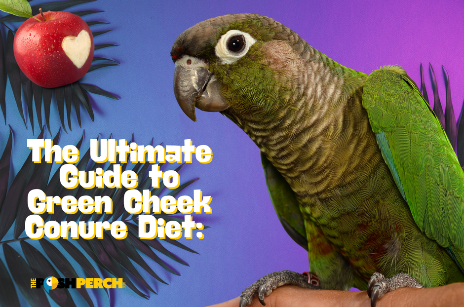 Gifts for Parrot Keepers | Personalized Parrot Products – The Posh Perch