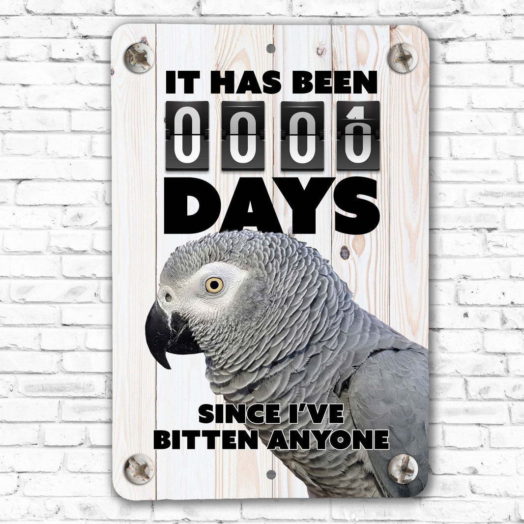 African Gray – The Posh Perch